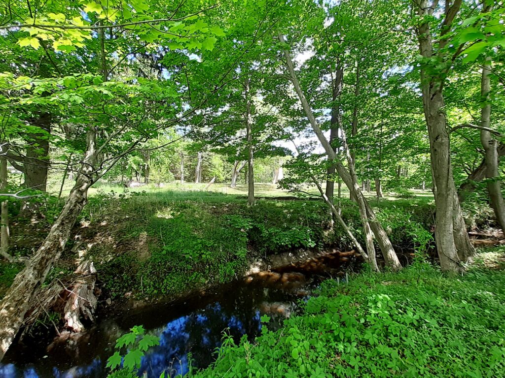 Pilgrimage to Pilgrim Haven - Two Weeks in a Hammock