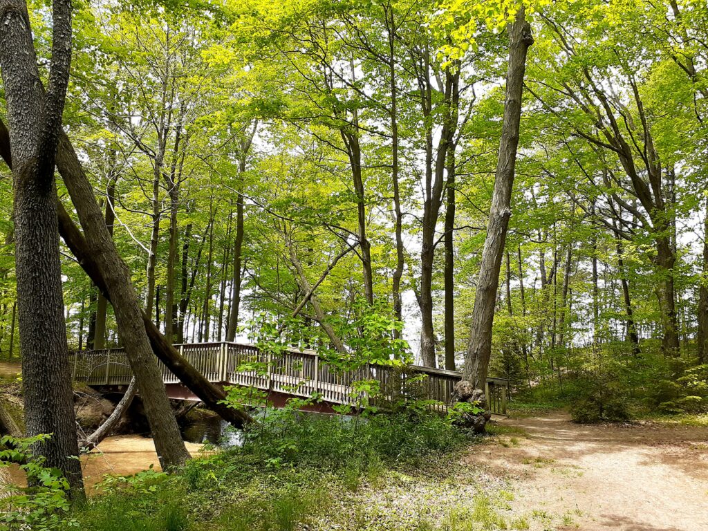 Pilgrimage to Pilgrim Haven - Two Weeks in a Hammock