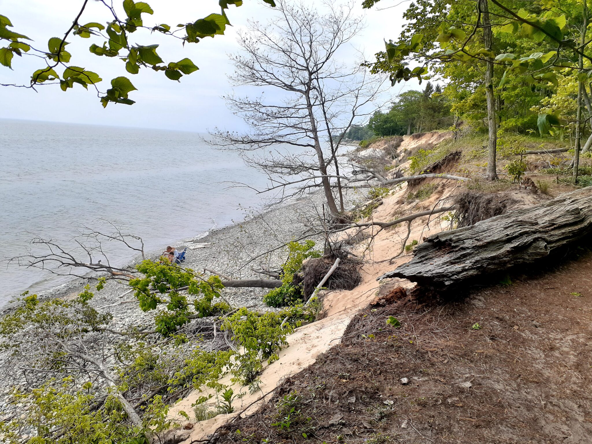 Pilgrimage to Pilgrim Haven - Two Weeks in a Hammock